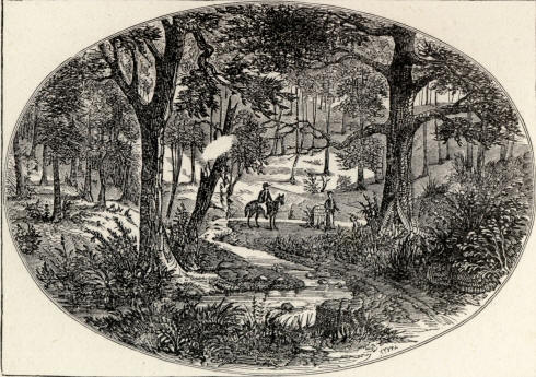 Revolutionary War Battles